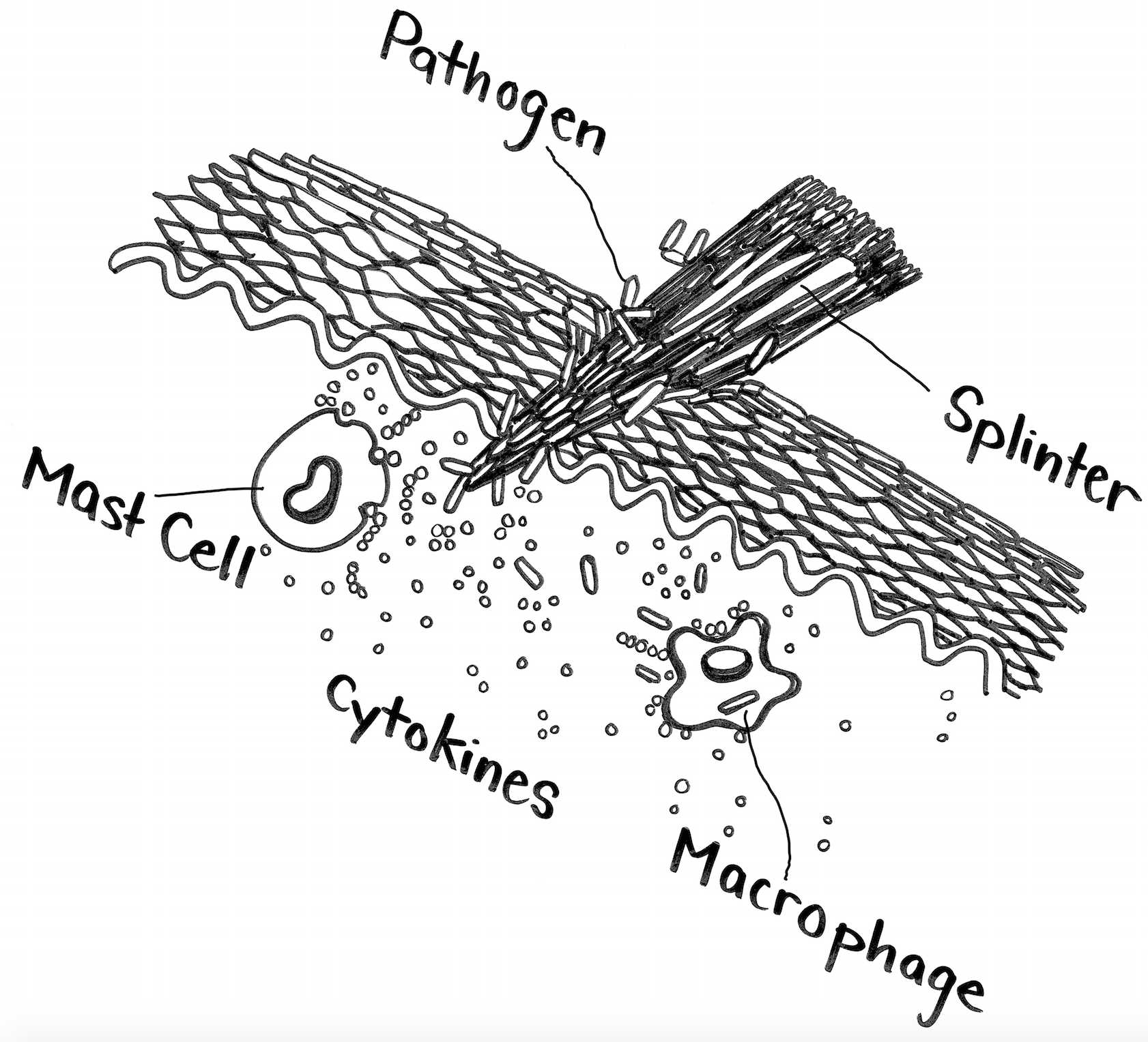 All Health Begins in Your Gut! - Feed a Brain