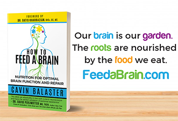 Feed a Brain - Feed a Brain